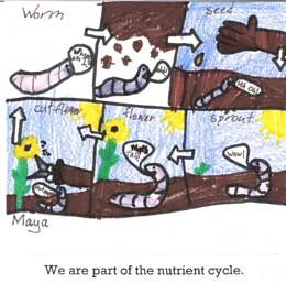 Herman's Art Gallery | The Adventures of Herman the Worm | U of I Extension