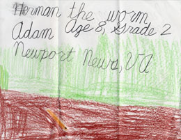 Herman's Art Gallery | The Adventures of Herman the Worm | U of I Extension